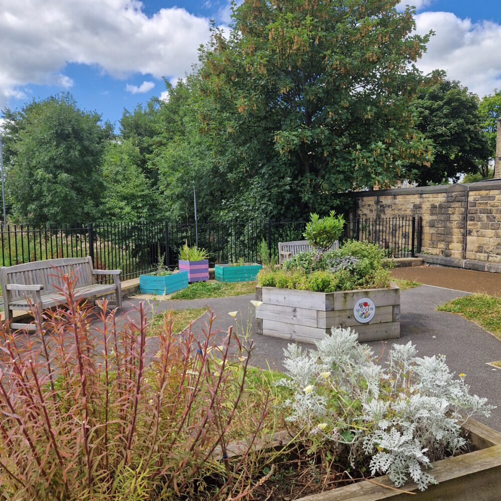 Birkby and Fartown Library Dye Garden – WOVEN